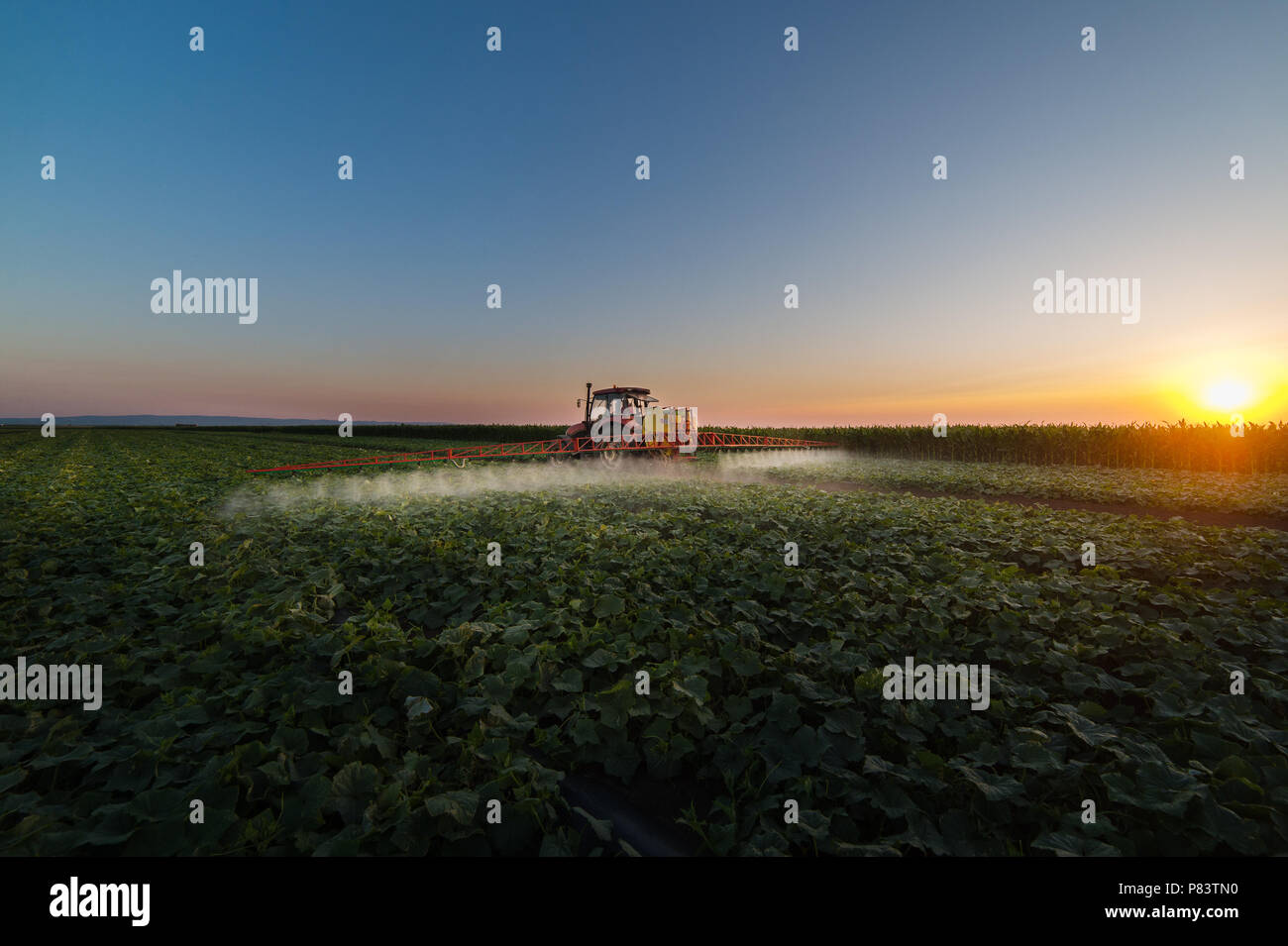 Tractor spraying pesticides on soybean field with sprayer at spring ...