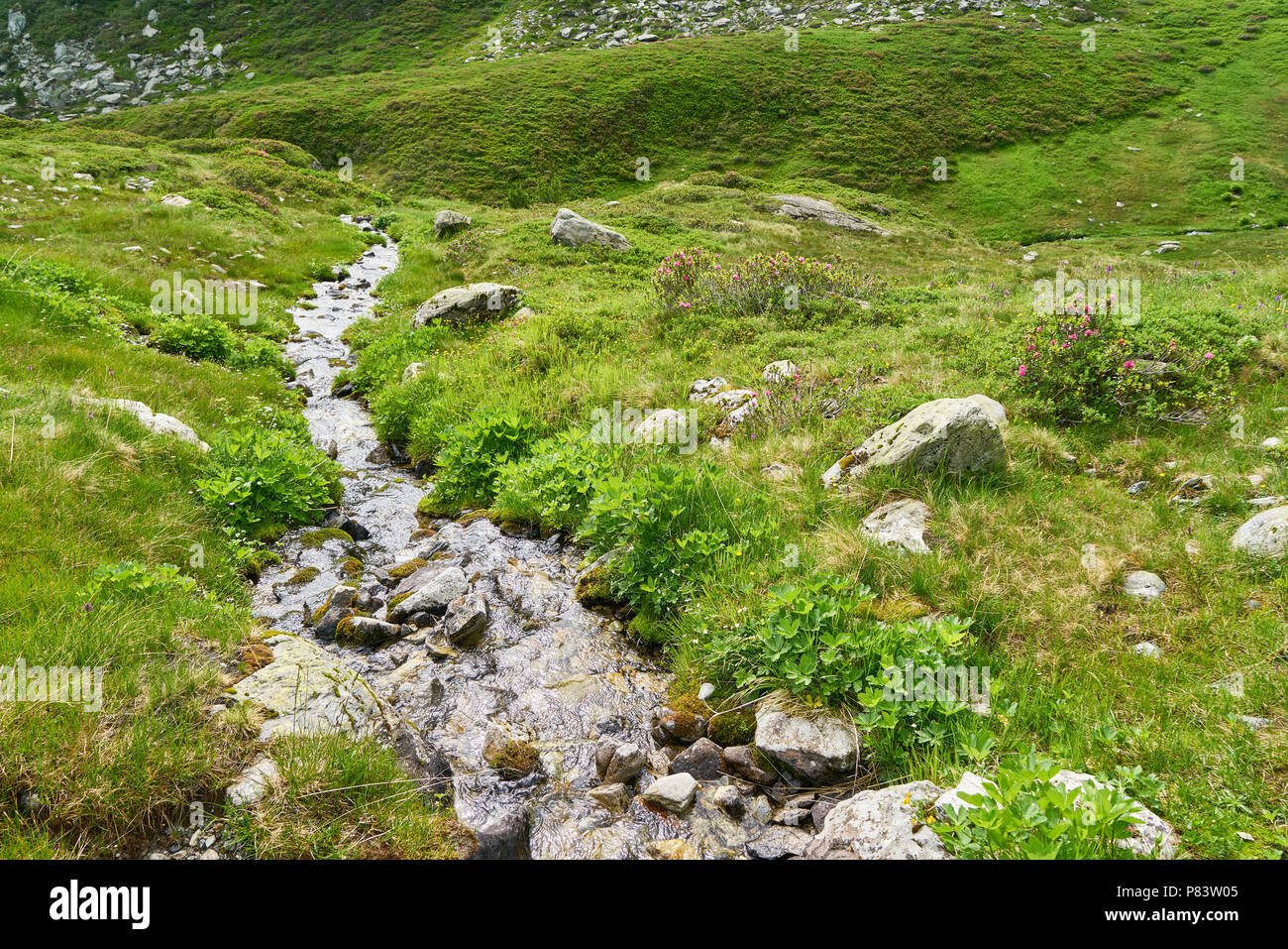 Movement water in mountain stream hi-res stock photography and images ...