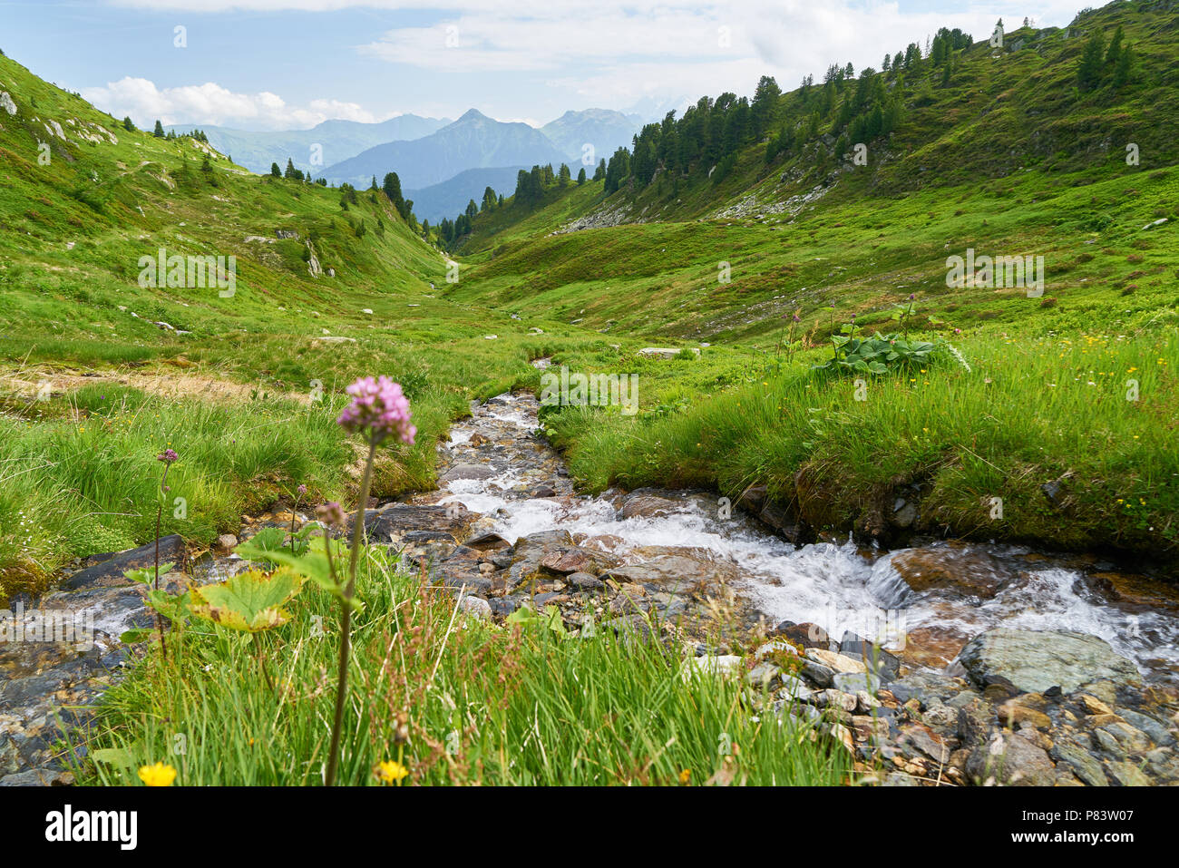 Mountain stream as a source of fresh water in the mountains of the Alps ...