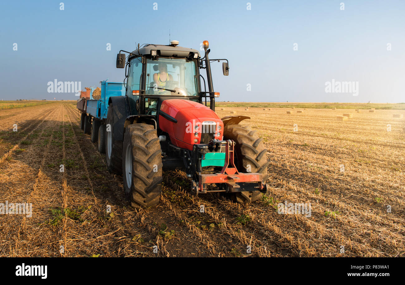 Beautiful, young farmer girl is driving tractor at field Stock Photo ...