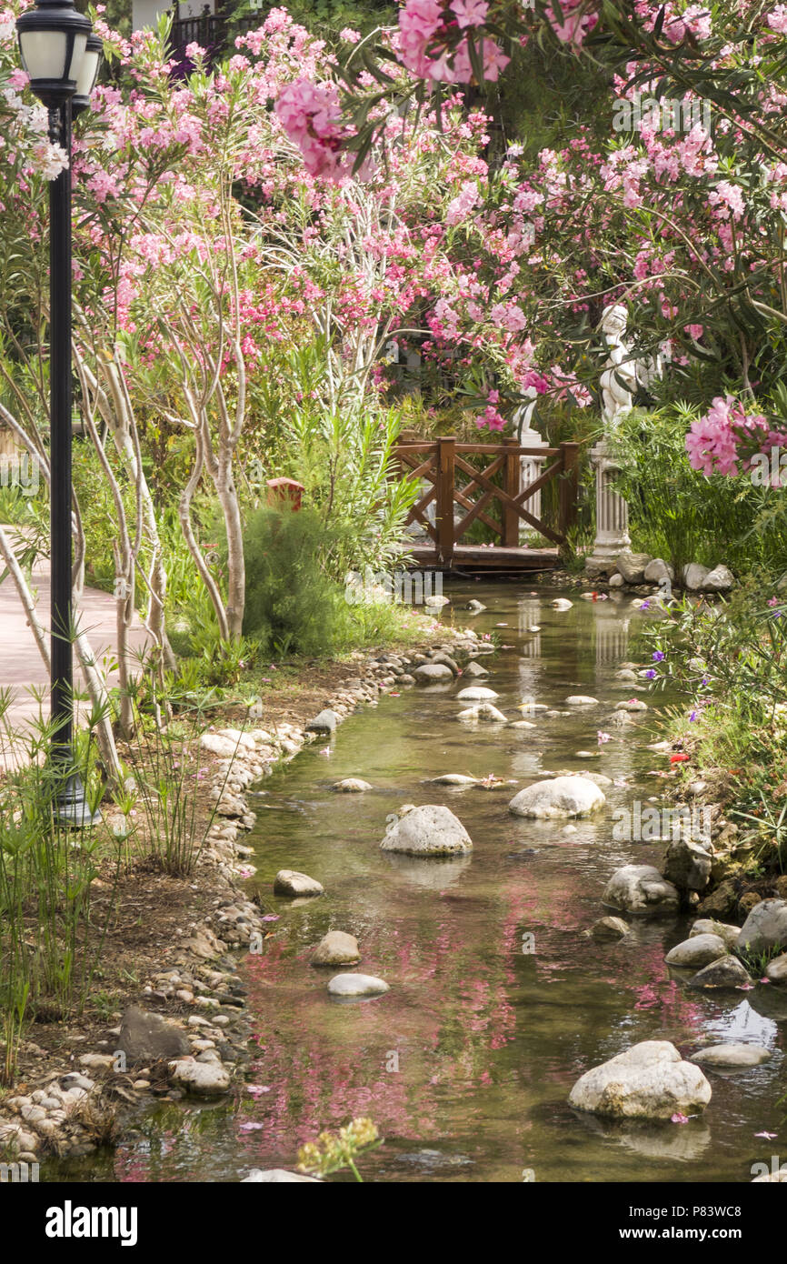 Japanese garden with slow river and spring tree Stock Photo - Alamy