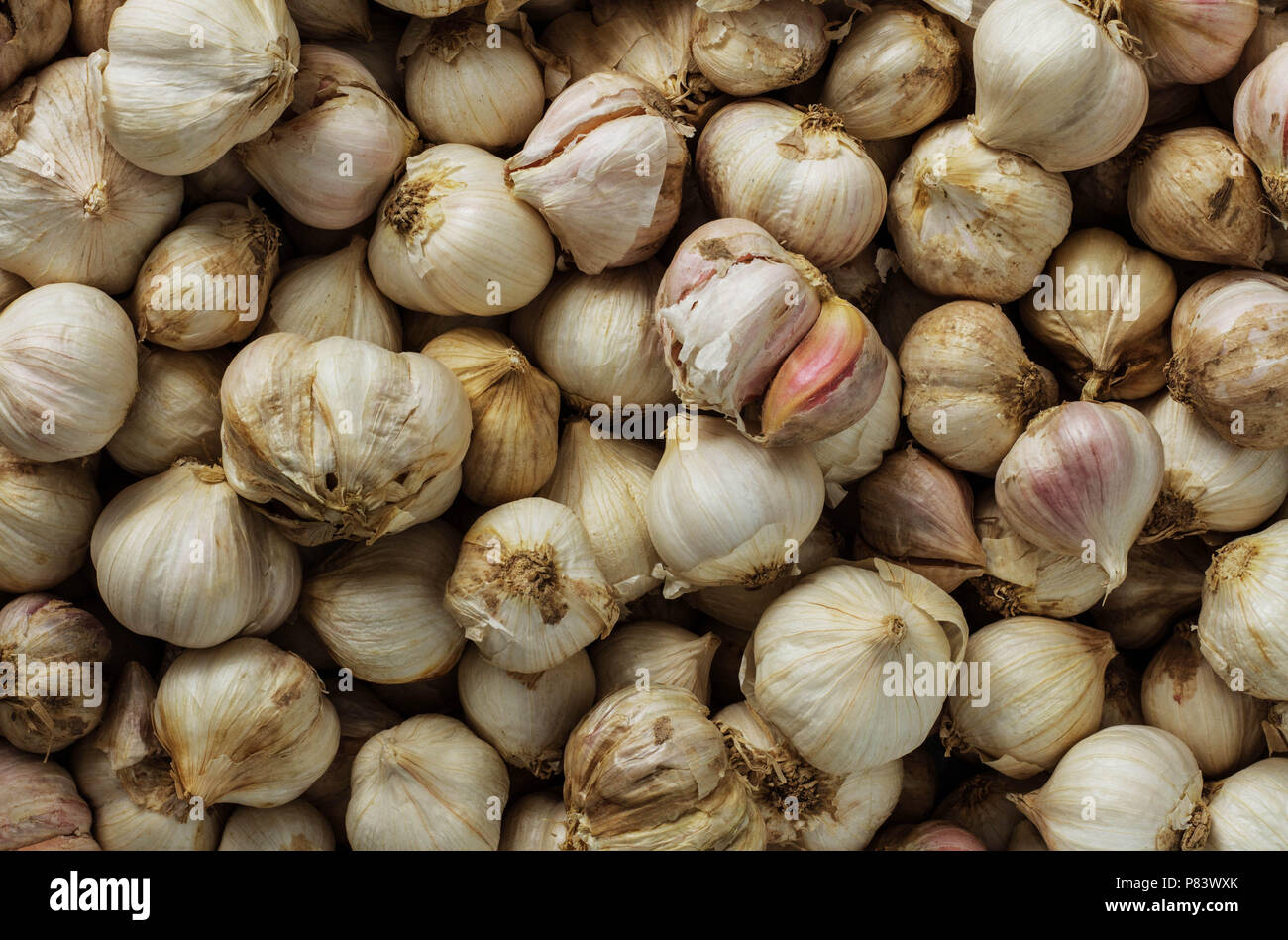 Dried garlic with a detailed surface of background Stock Photo - Alamy