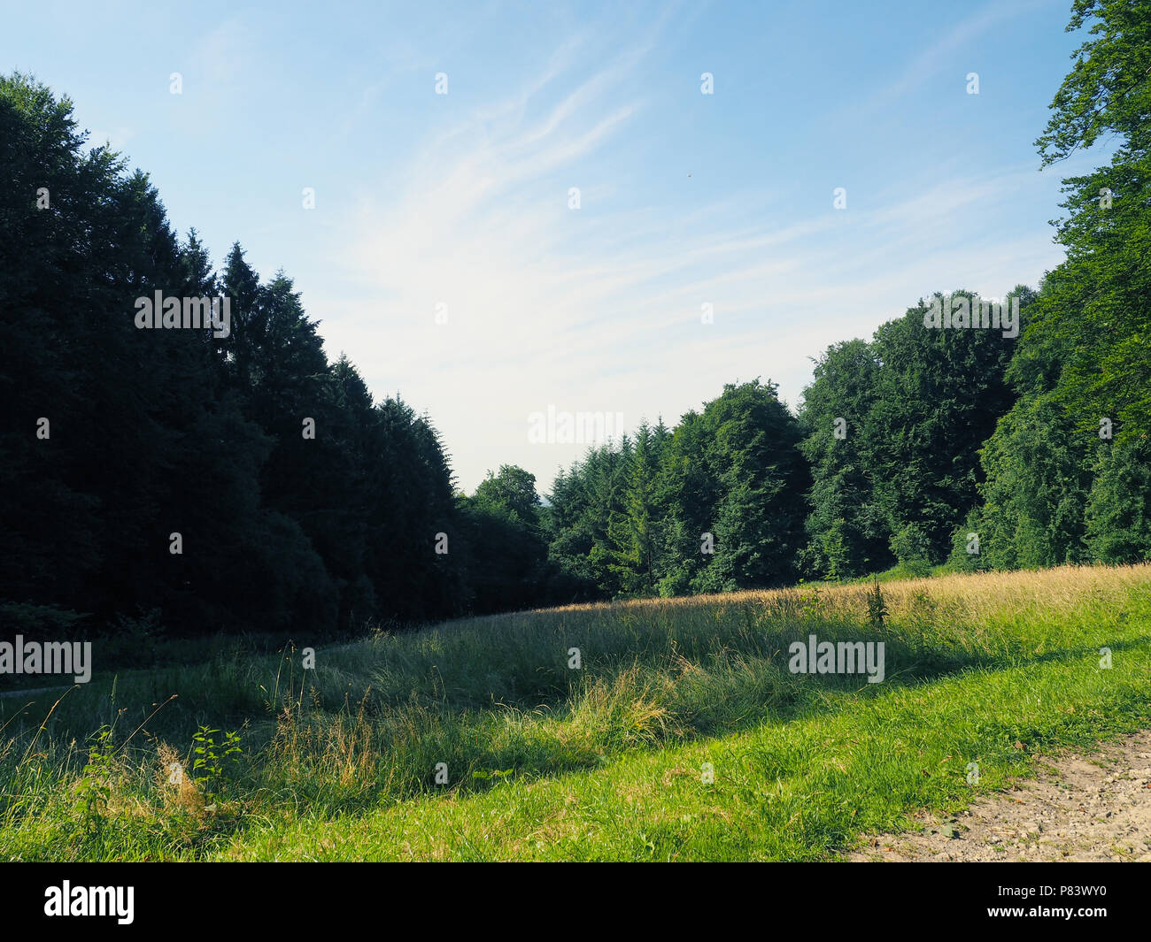 The spring sky in the teutoburg forest hi-res stock photography and ...