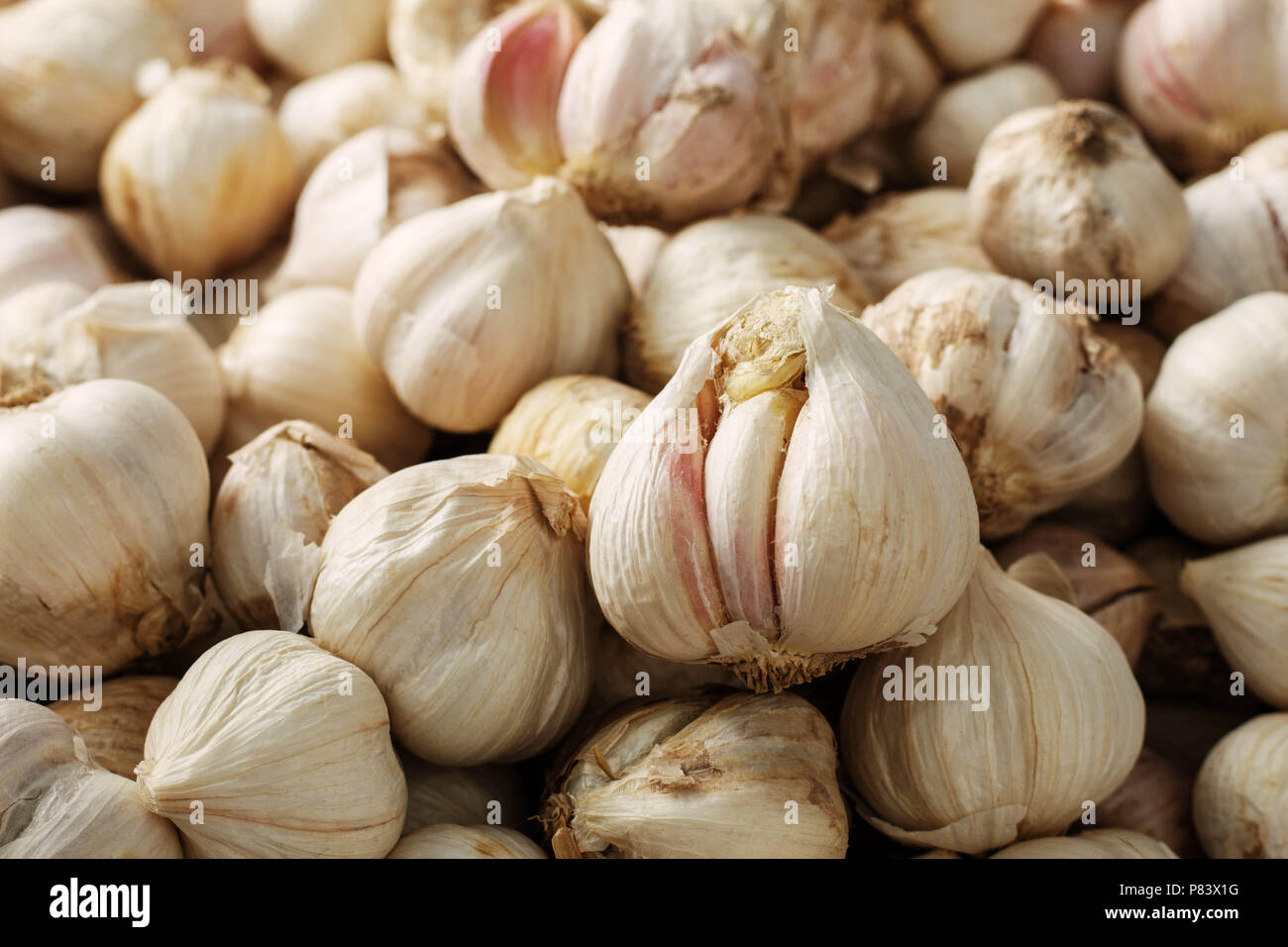 Dried garlic with surface of background Stock Photo - Alamy