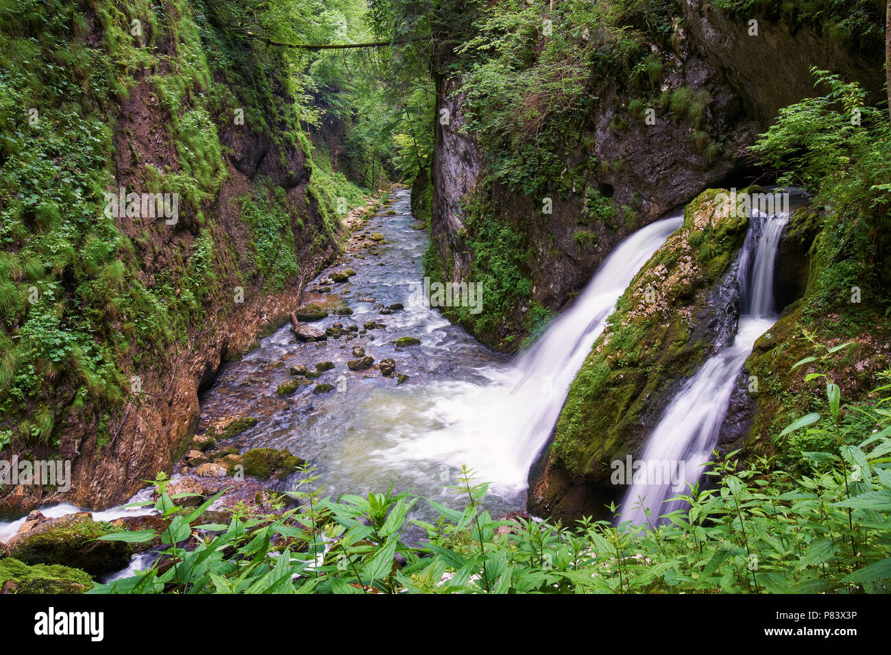 Landscape with a waterfall in a gorge and lush vegetation Stock Photo ...