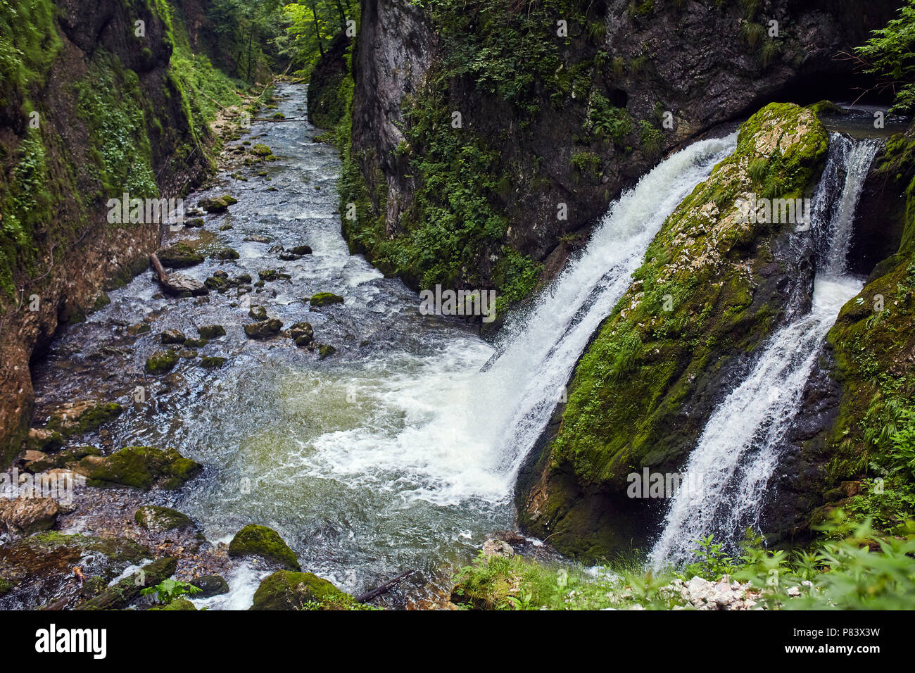 Landscape with a waterfall in a gorge and lush vegetation Stock Photo ...