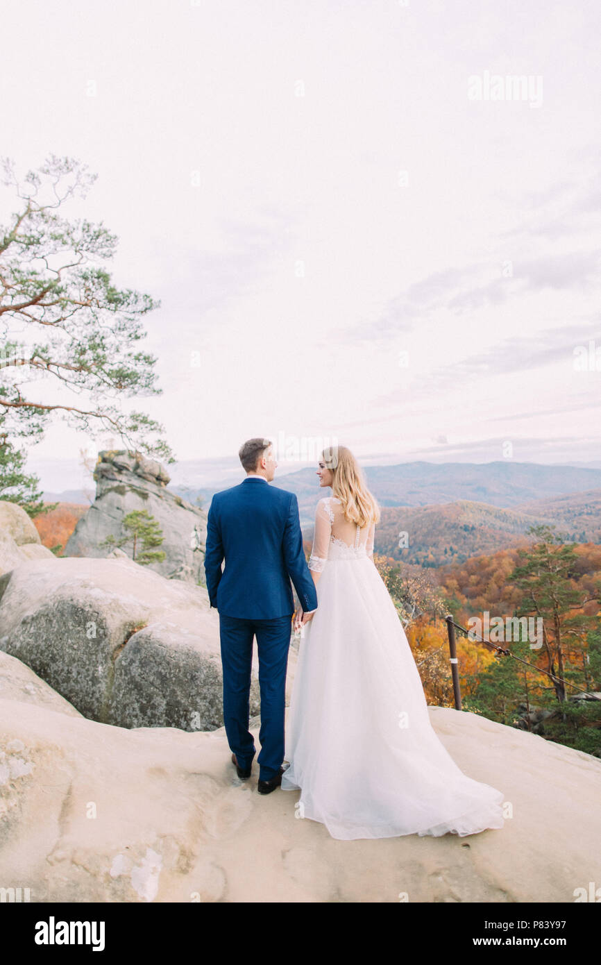 Back view of the newlywed couple standing on the rock and enjoying the ...