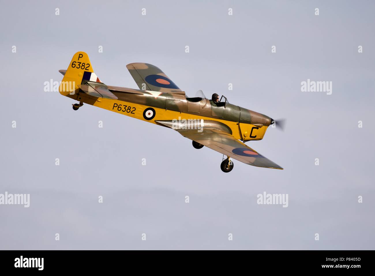 One of only two flying examples hi-res stock photography and images - Alamy