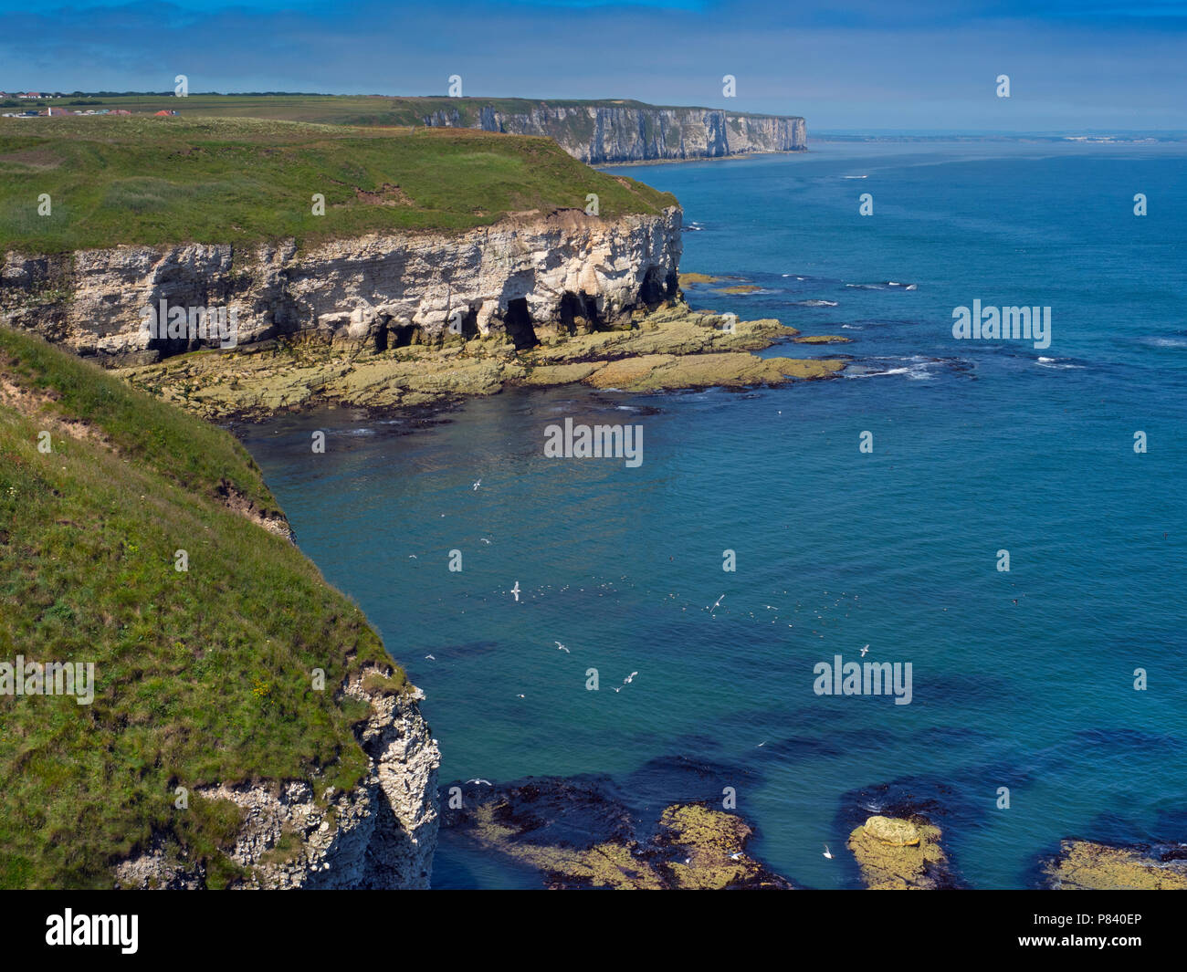 Coastal limestone cliffs sea hi-res stock photography and images - Alamy