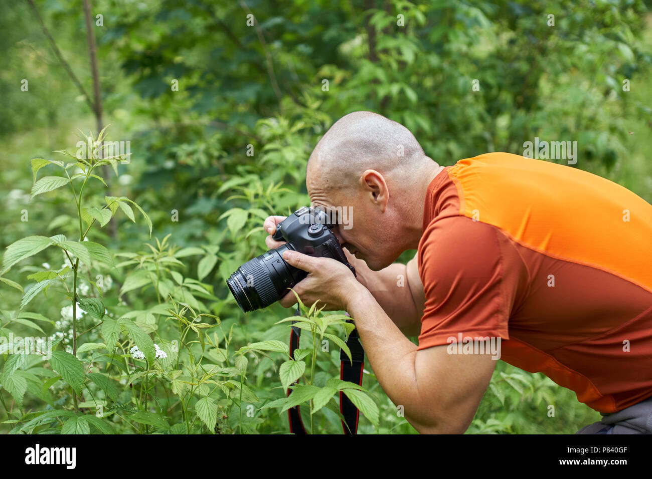 Professional photographer shooting pictures picture hi-res stock ...