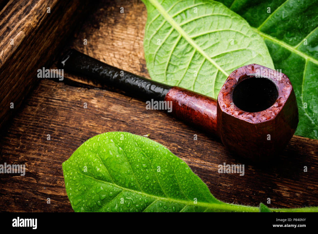 Stylish smoking pipe and not a mature tobacco leaf Stock Photo - Alamy