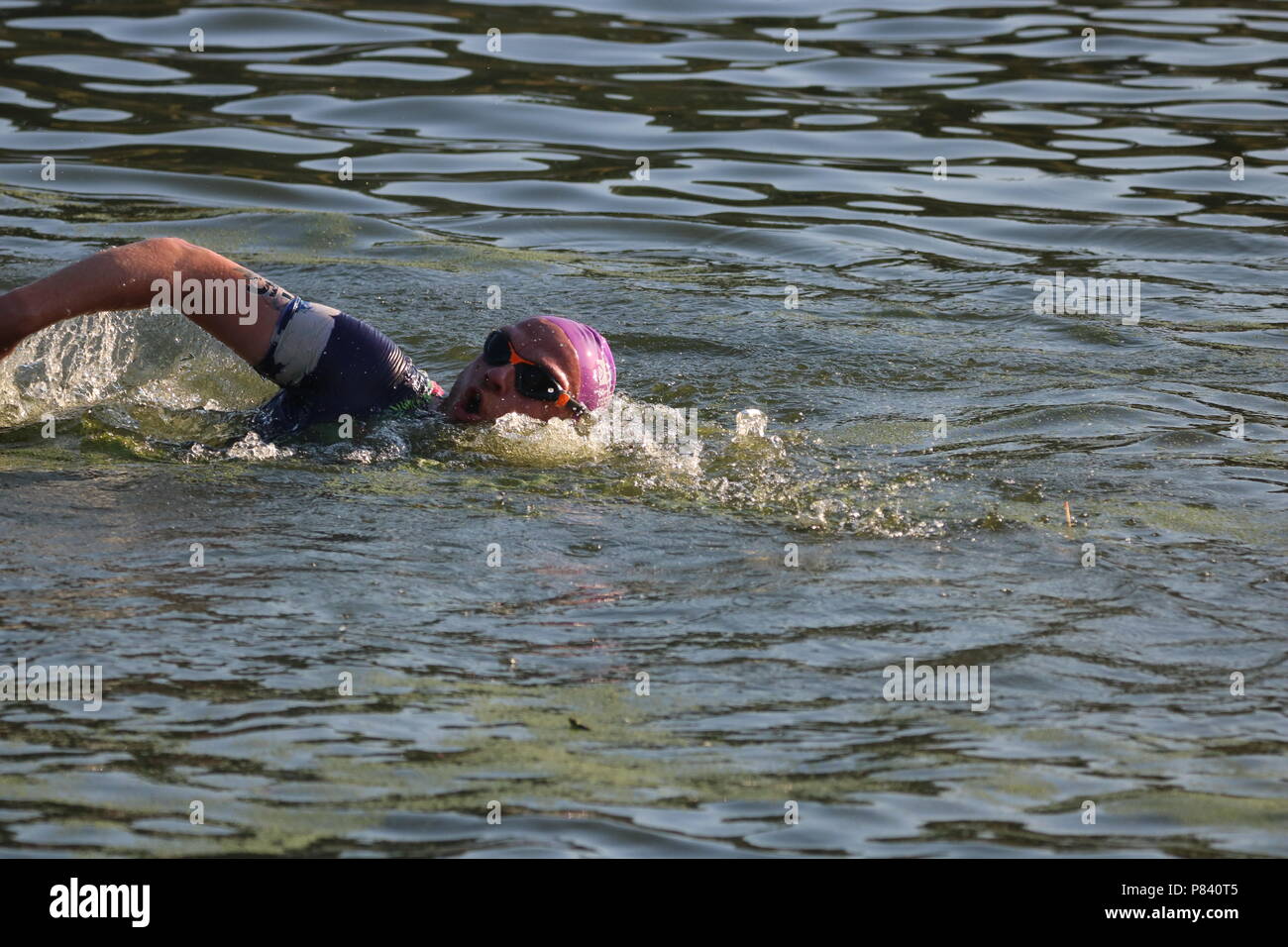 Swimmer front crawl hi-res stock photography and images - Alamy