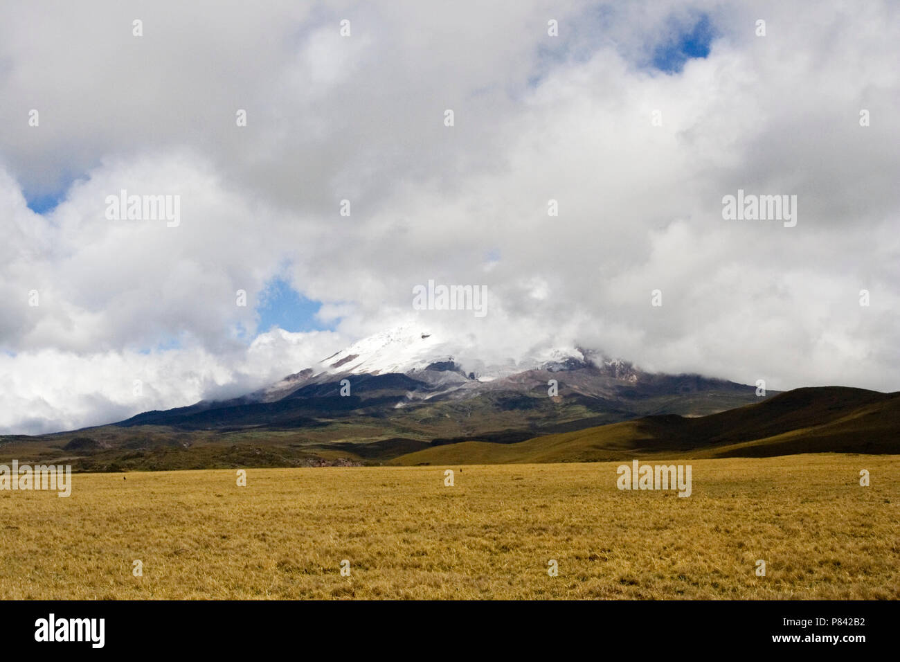 Antisana Reserve Ecuador Stock Photo - Alamy