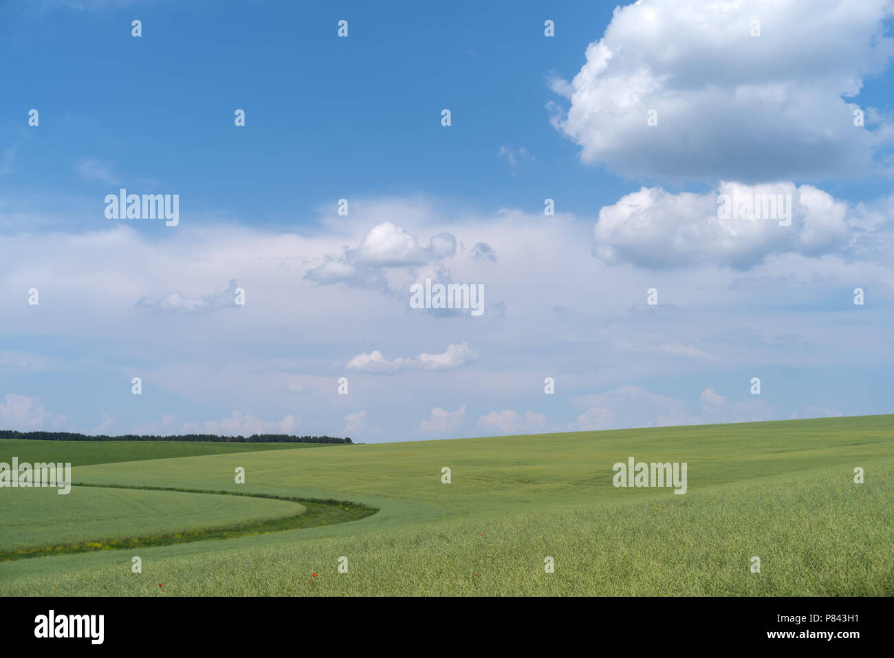 Clouds overcast countryside, Podolia region of Ukraine Stock Photo - Alamy
