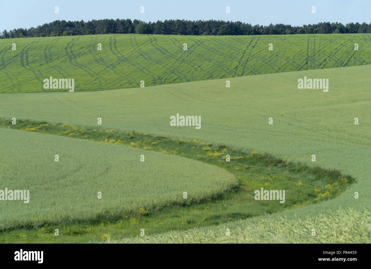 Podolia region of Ukraine, Spring agricultural landscape Stock Photo ...