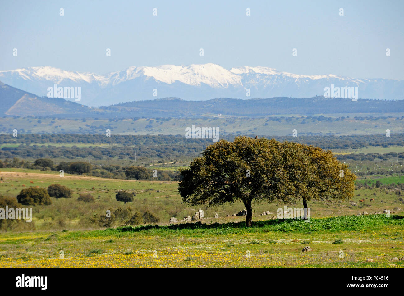 Landscape Extremadura, Spain Stock Photo - Alamy