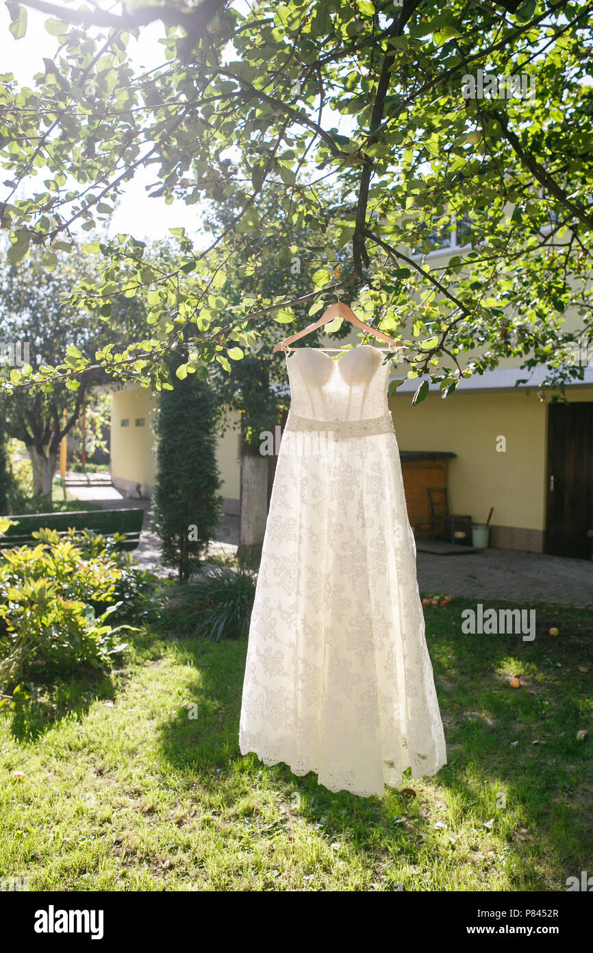 beautiful wedding dress hanging on a tree in a garden Stock Photo - Alamy