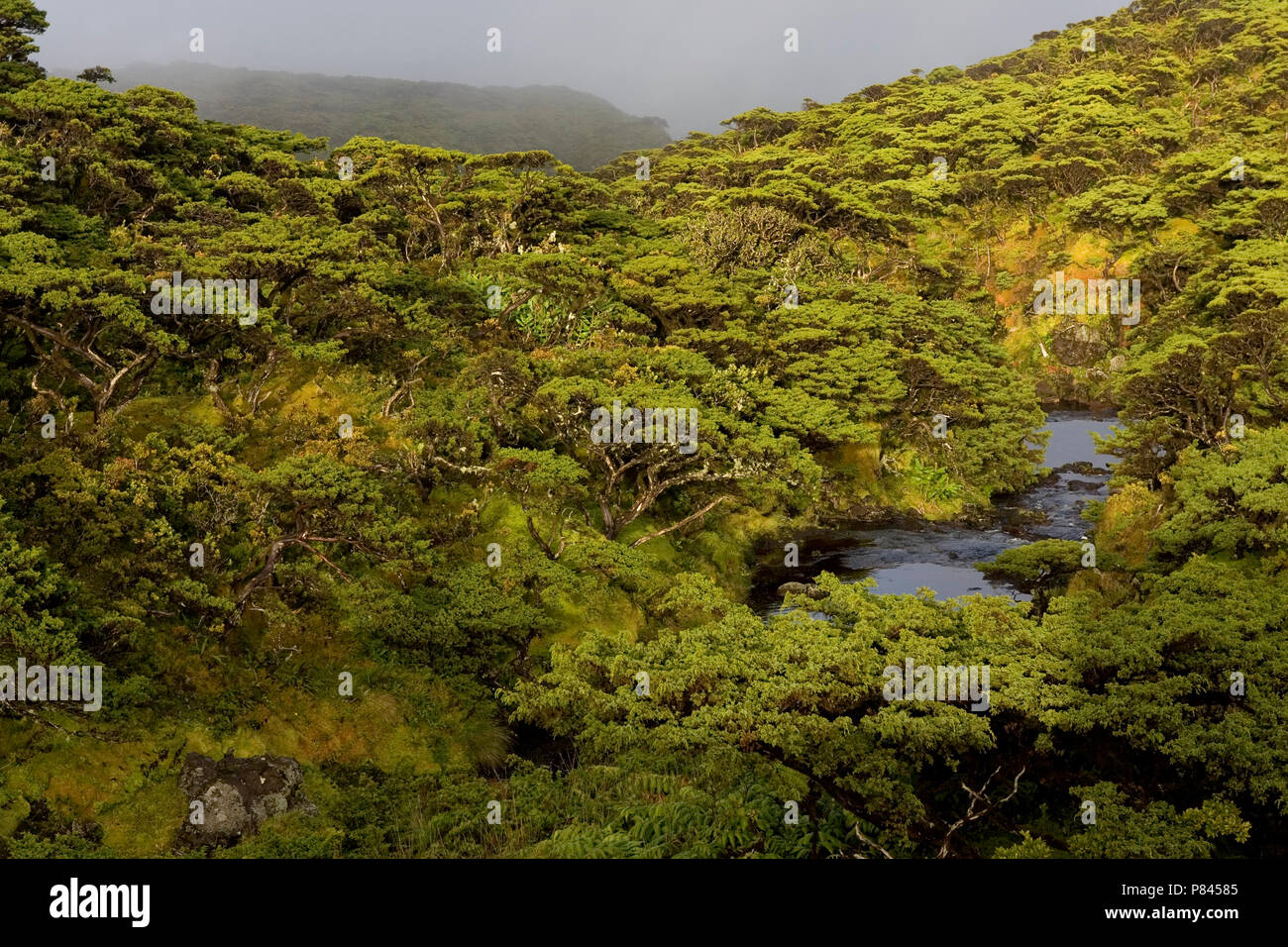 Caldeira azoren hi-res stock photography and images - Alamy