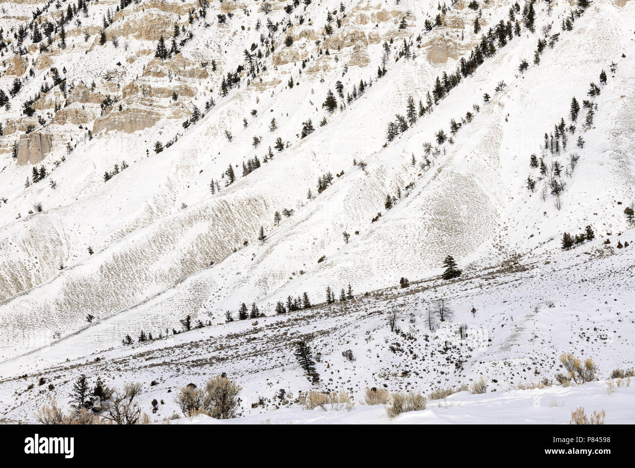 Snow on Foot Mount Everts Yellowstone Nat. Park Stock Photo - Alamy