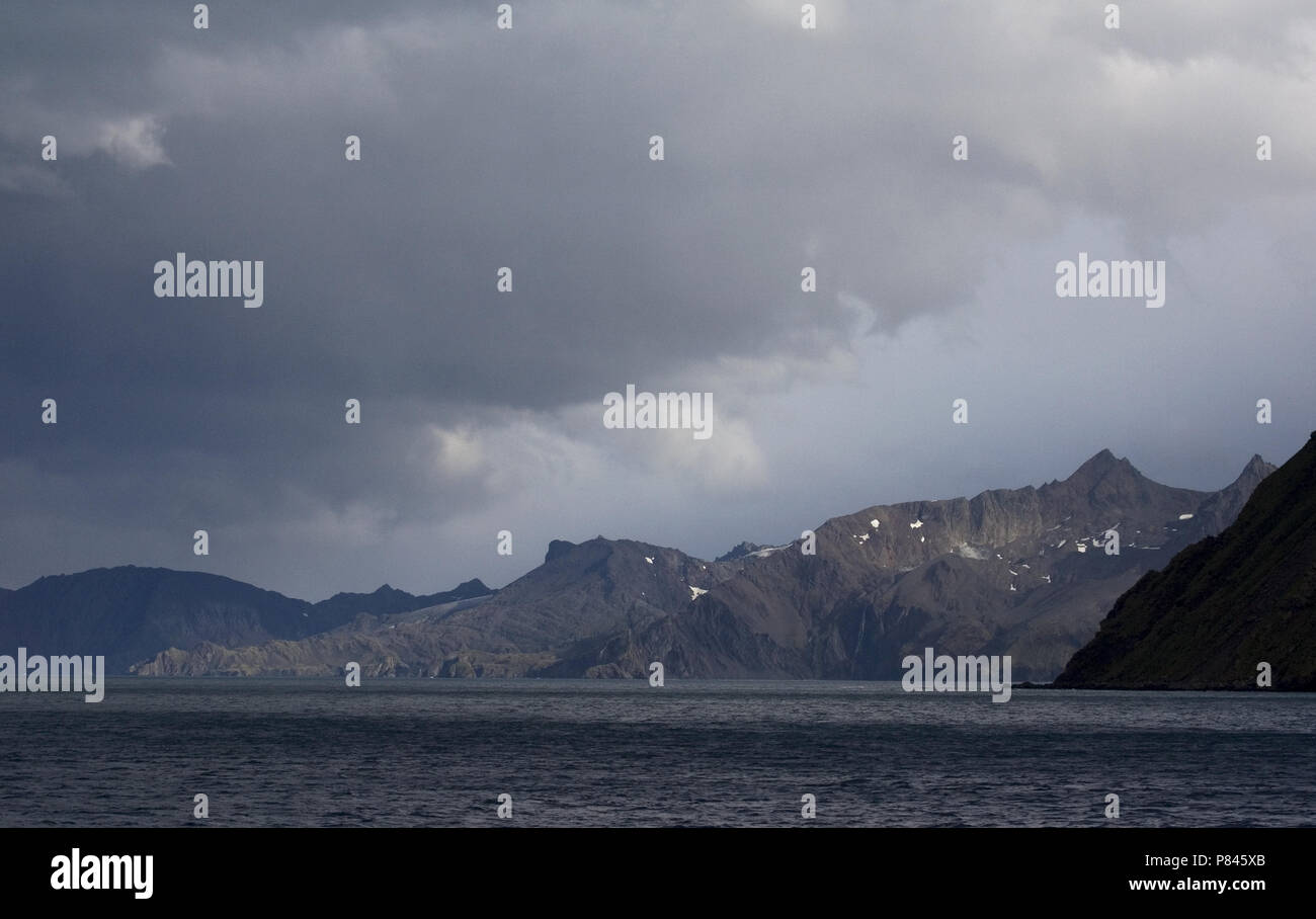 Gold Harbour South Georgia; Gold Harbour Zuid Georgië Stock Photo - Alamy