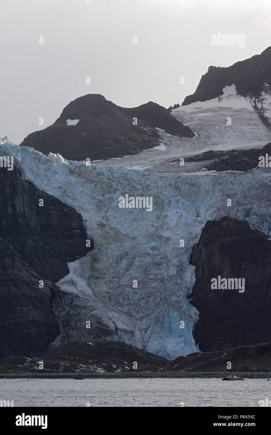 Gold Harbour South Georgia; Gold Harbour Zuid Georgië Stock Photo - Alamy