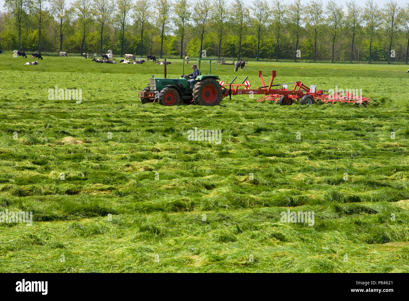 Grasmaaien hi-res stock photography and images - Alamy