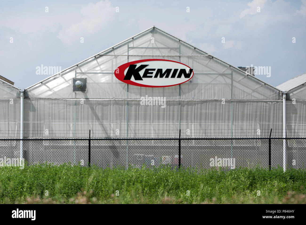 Kemin Industries Logo