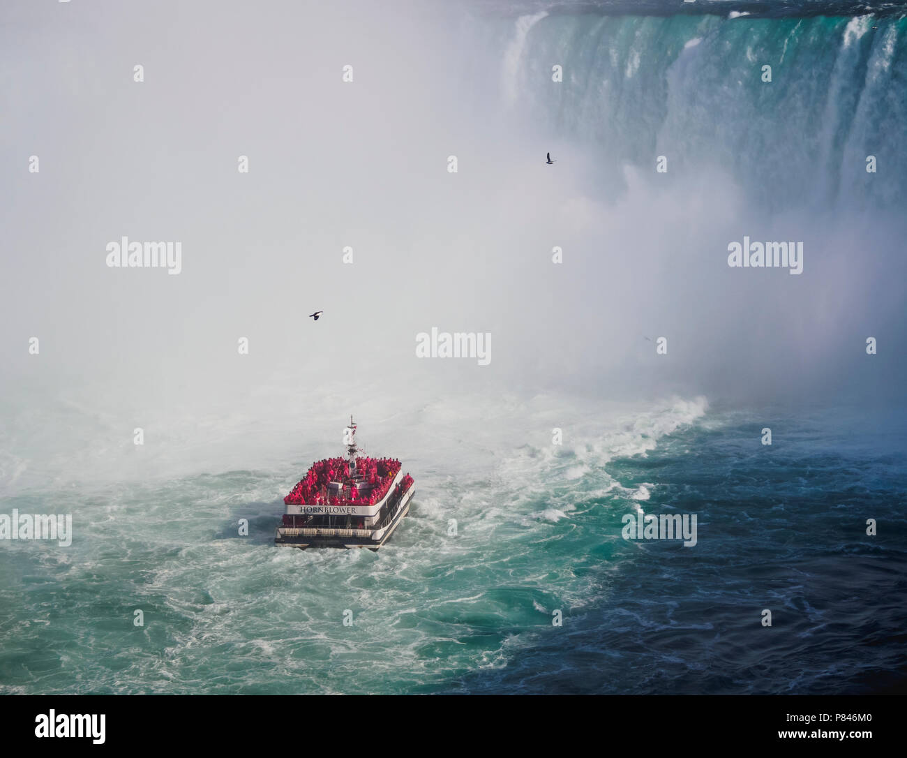 Hornblower full of tourists in front of Horseshoe Falls, Niagara Falls ...