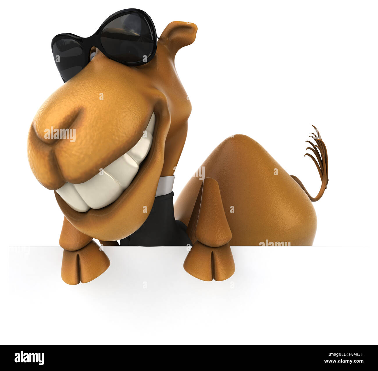 Camel active Cut Out Stock Images & Pictures - Alamy