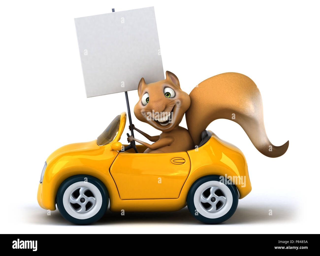 Squirrel driving hi-res stock photography and images - Alamy