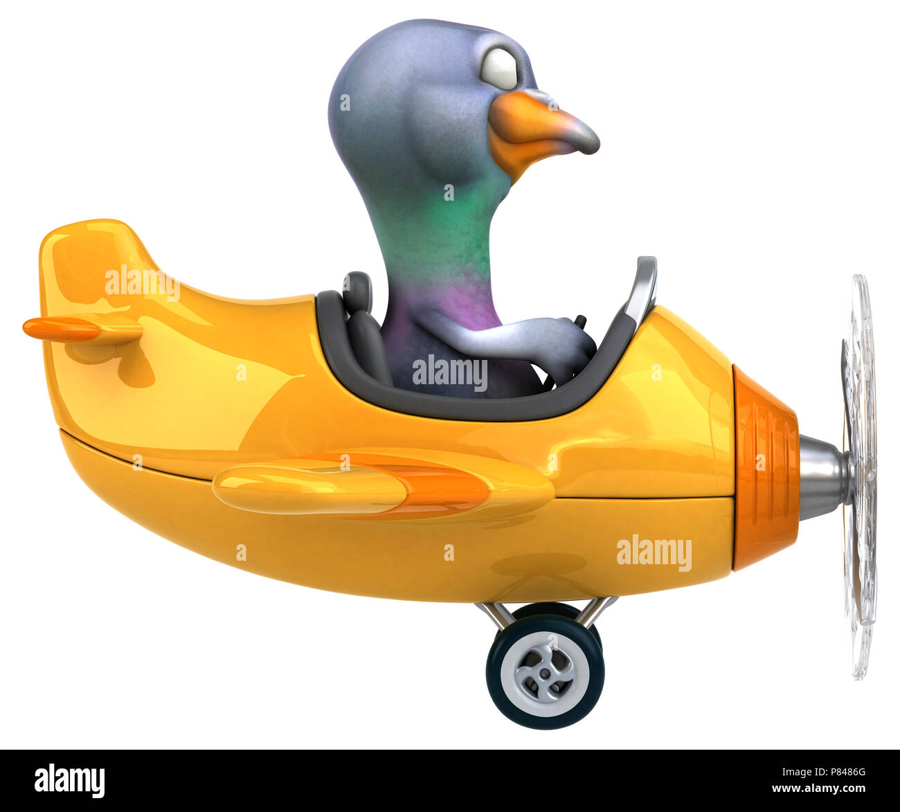 Pigeon transportation Cut Out Stock Images & Pictures - Alamy