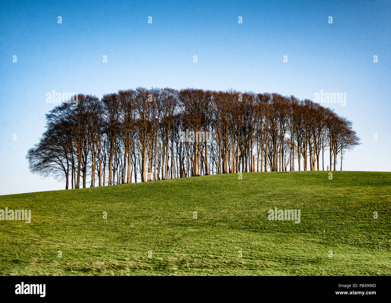 Nearly home trees cornwall hi-res stock photography and images - Alamy