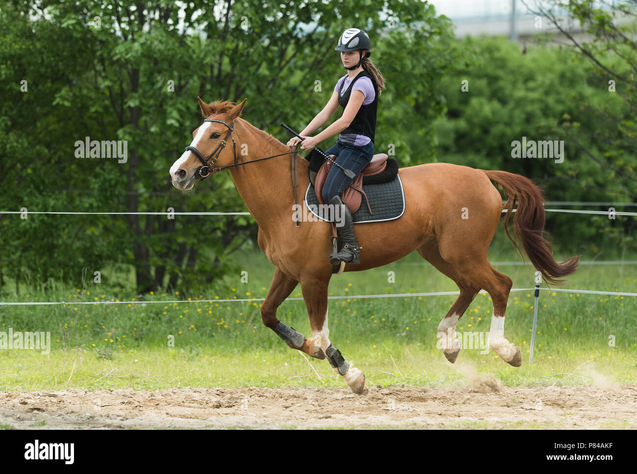 Young pretty girl - riding a horse with backlit leaves behind in spring ...