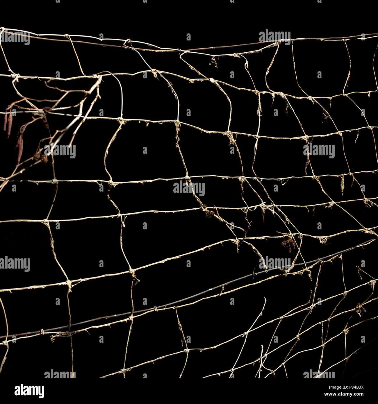 Branches caught in a wire fence Stock Photo - Alamy
