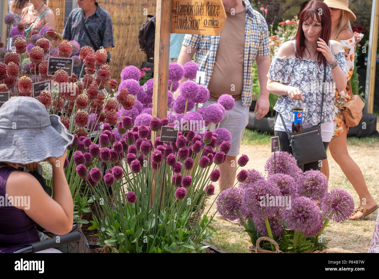 blooms and flower show in flower beautiful Stock Photo - Alamy
