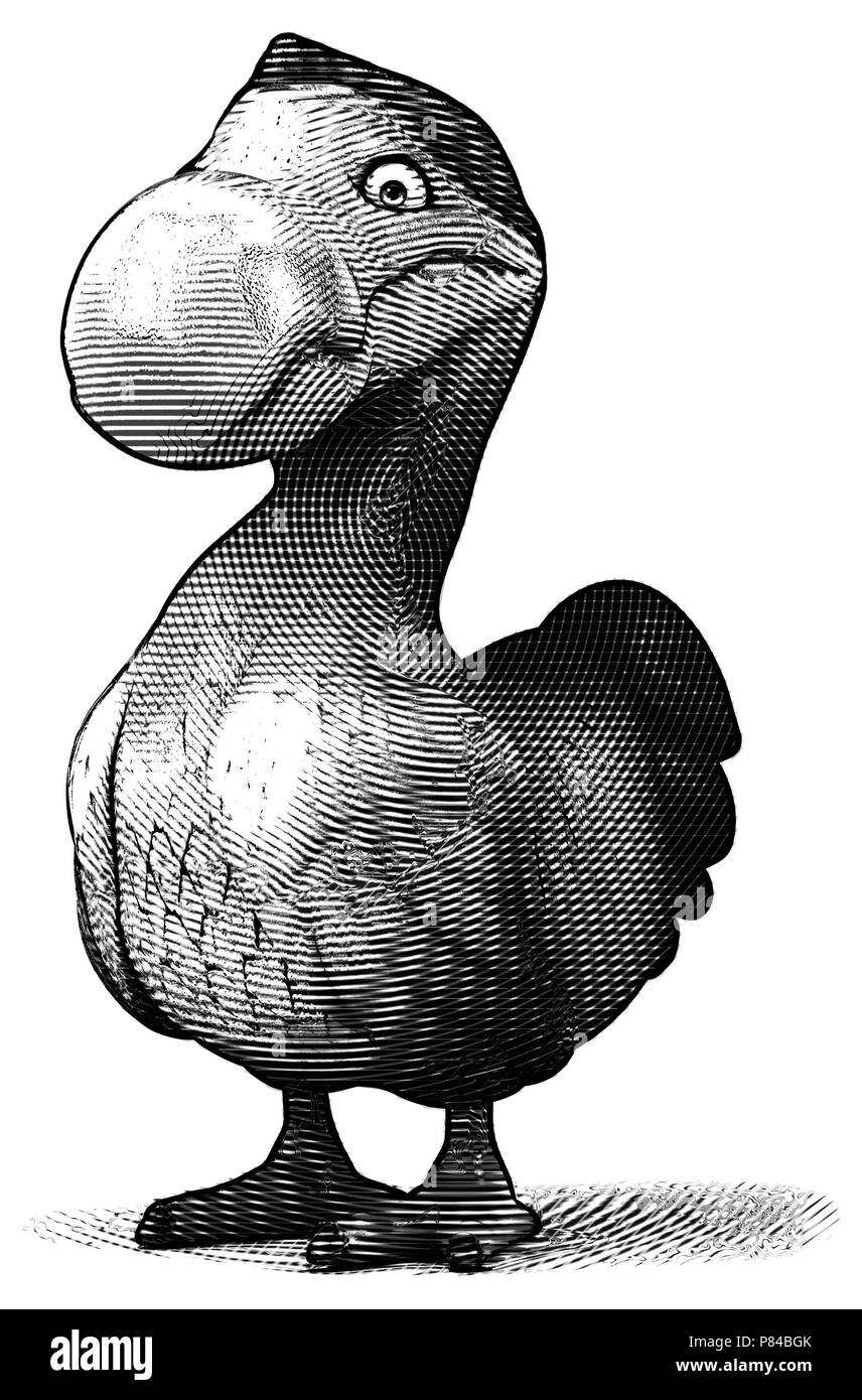 Cartoon dodo Black and White Stock Photos & Images - Alamy