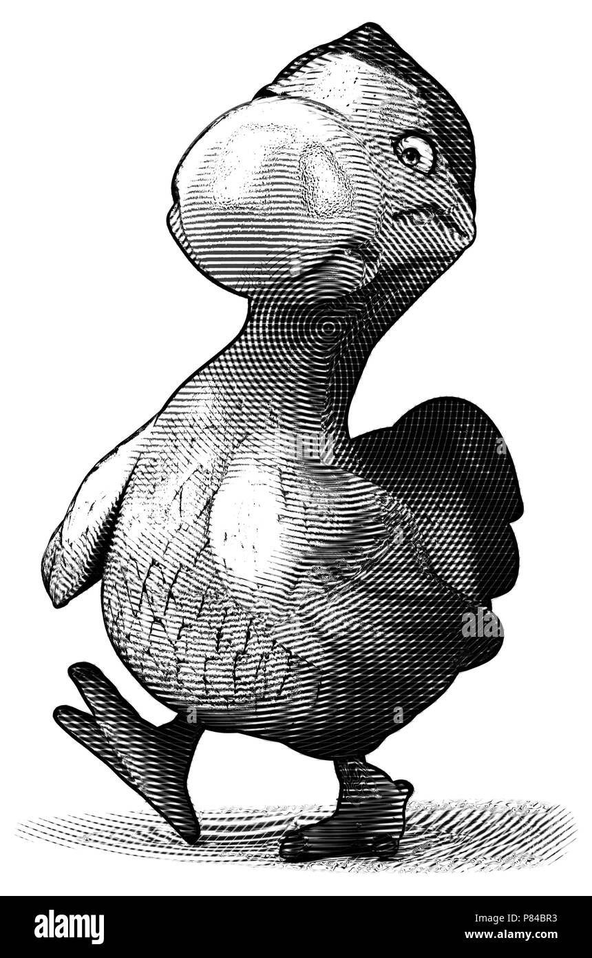 Cartoon dodo Black and White Stock Photos & Images - Alamy
