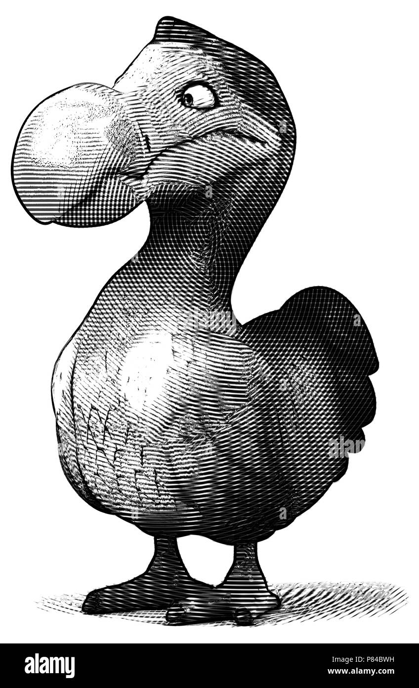 Cartoon dodo Black and White Stock Photos & Images - Alamy