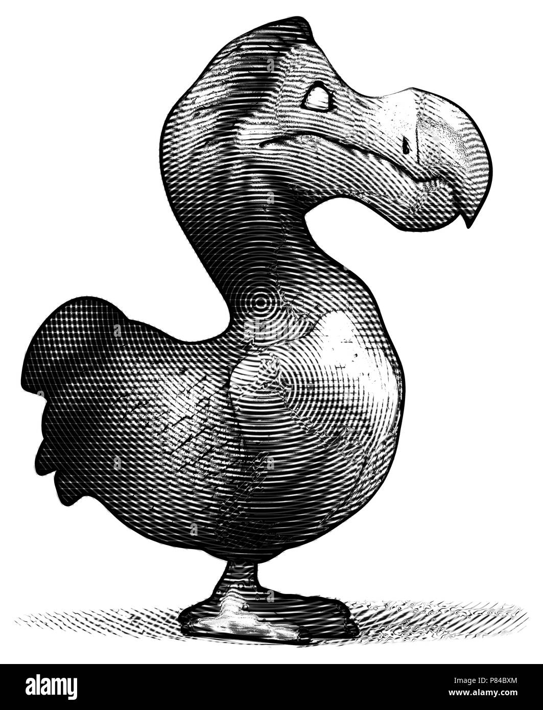Dodo Bird Black and White Stock Photos & Images - Alamy