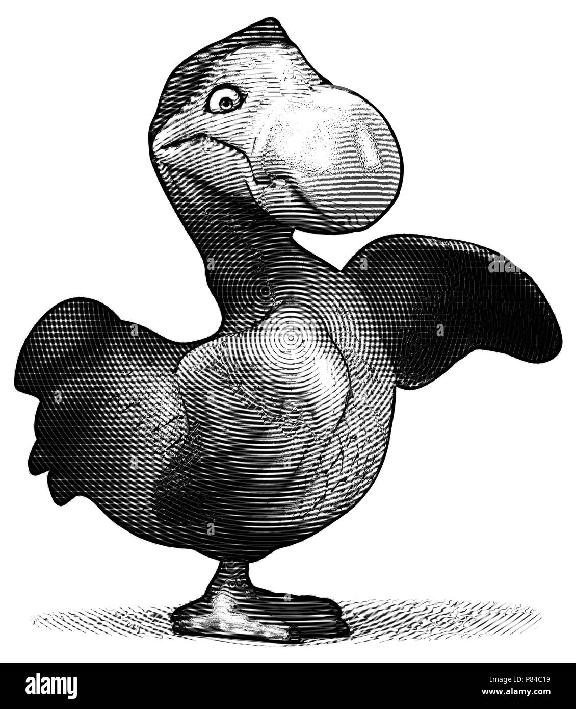 Cartoon dodo Black and White Stock Photos & Images - Alamy