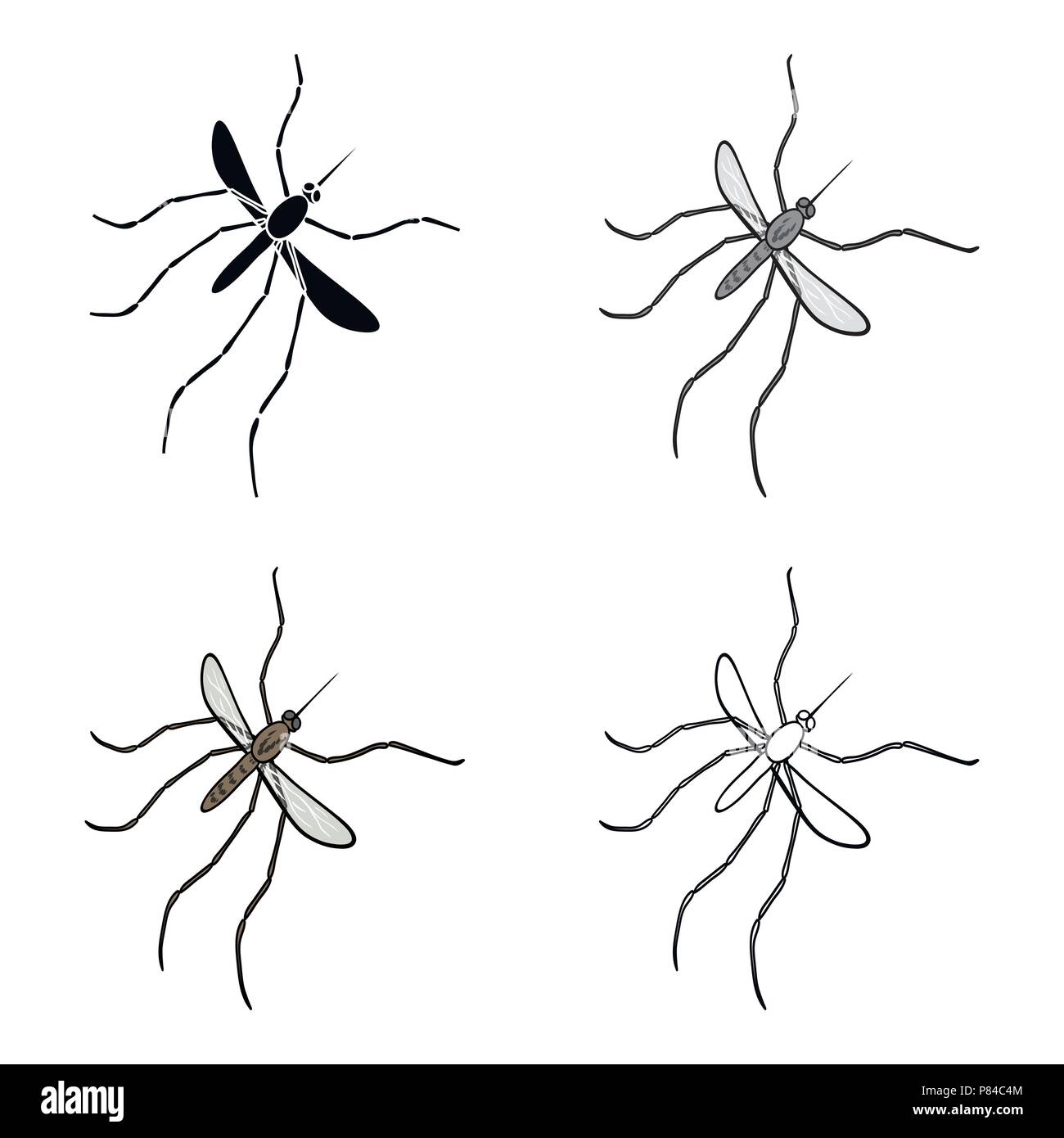 animal,arthropod,bloodsucker,cartoon,dipterous,gnat,icon,illustration ...