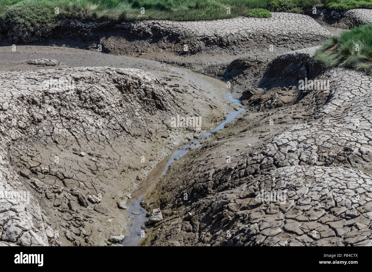 Muddy River Bank