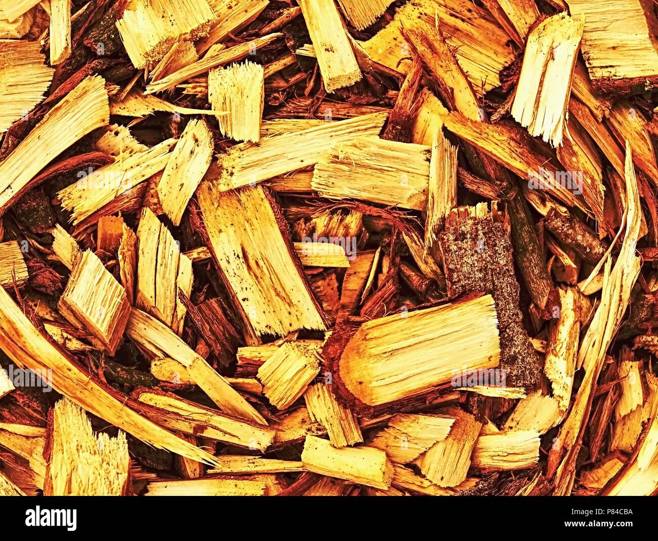 Sawdust detailed fragment. Natural raw material in forest ready for ...