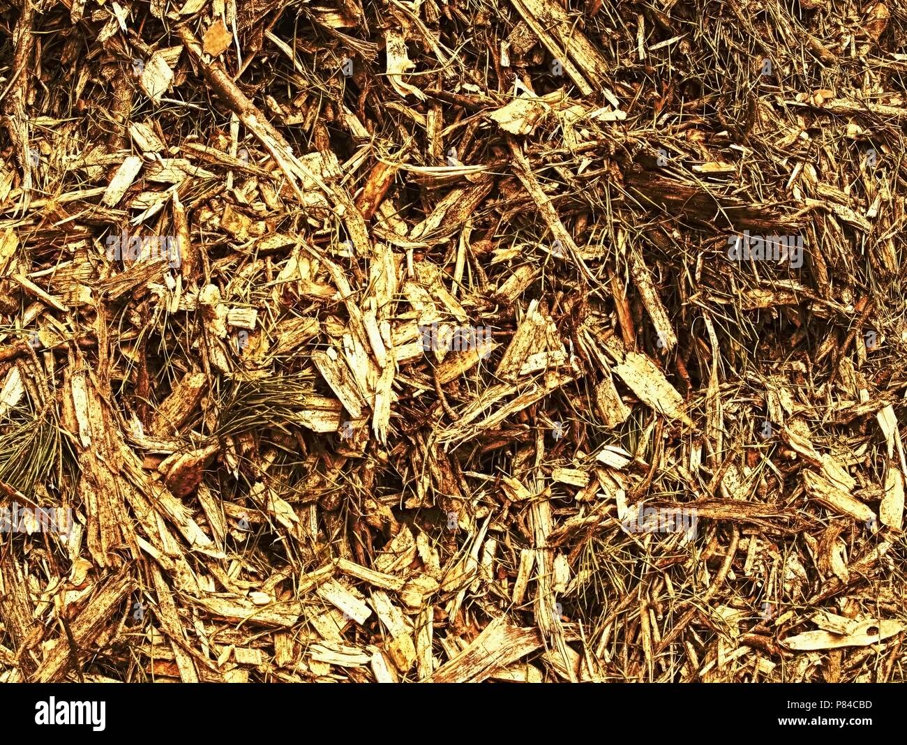 Waste sawmill and bark chips. Stack of raw material. Log yellow and ...
