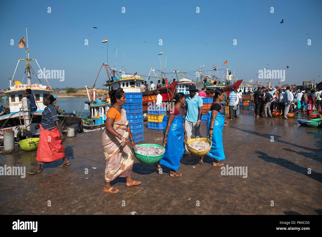 The image of Fisher women unloading fish from boats at jetty in ...