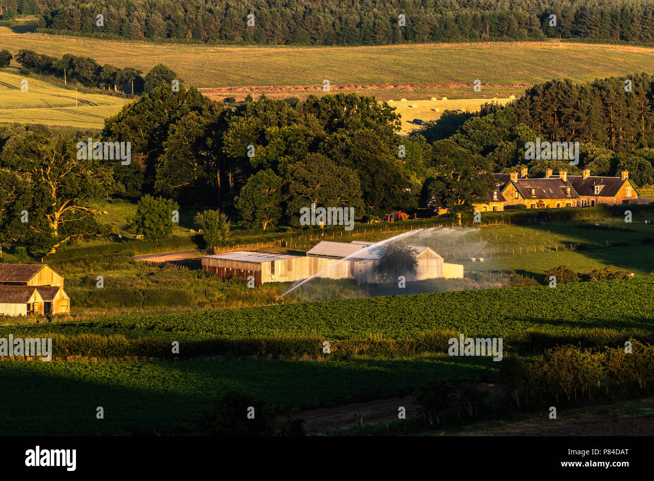 Scottish Potato Farm High Resolution Stock Photography and Images - Alamy