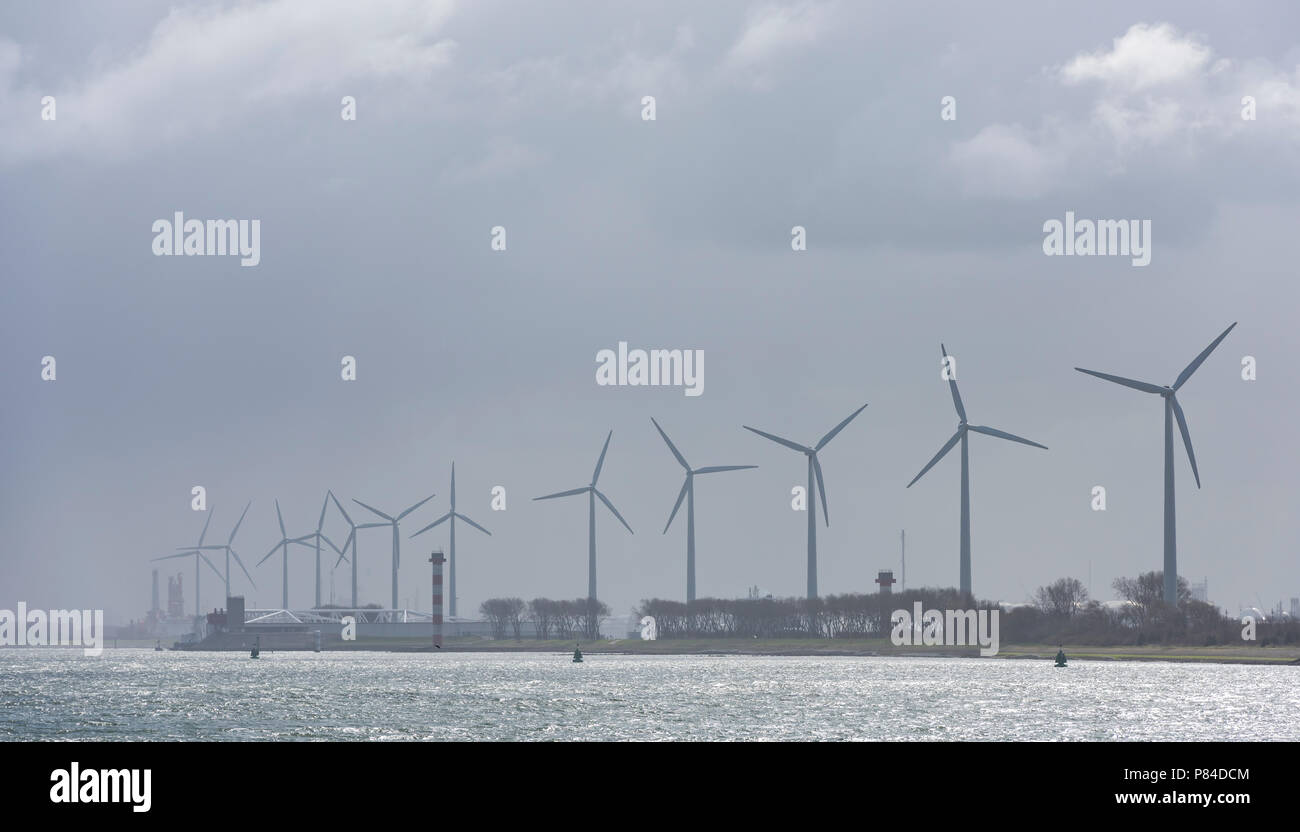 Modern wind mills at Hopek van Holland at the Nieuwe waterweg in the ...