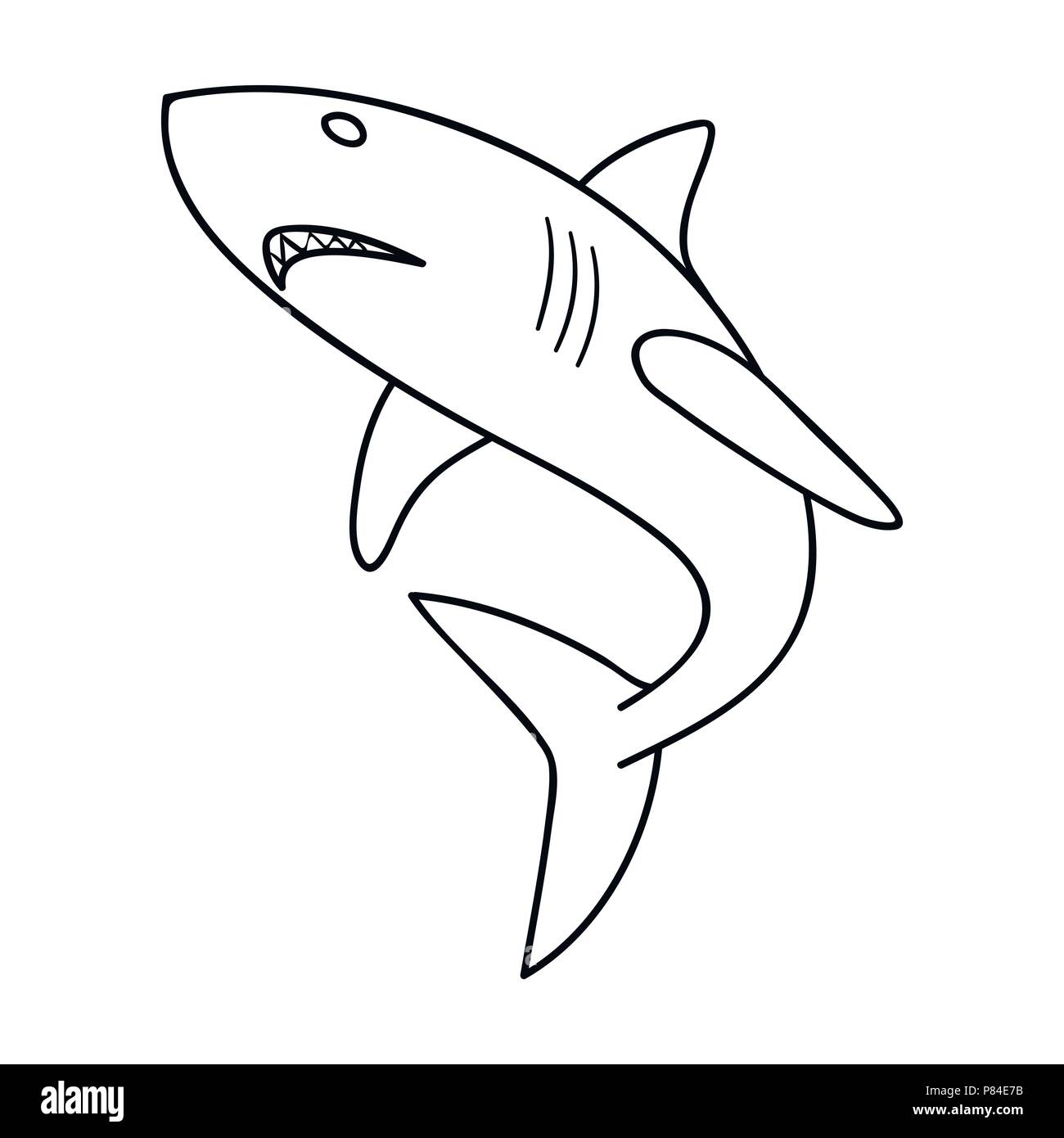 Shark Outline