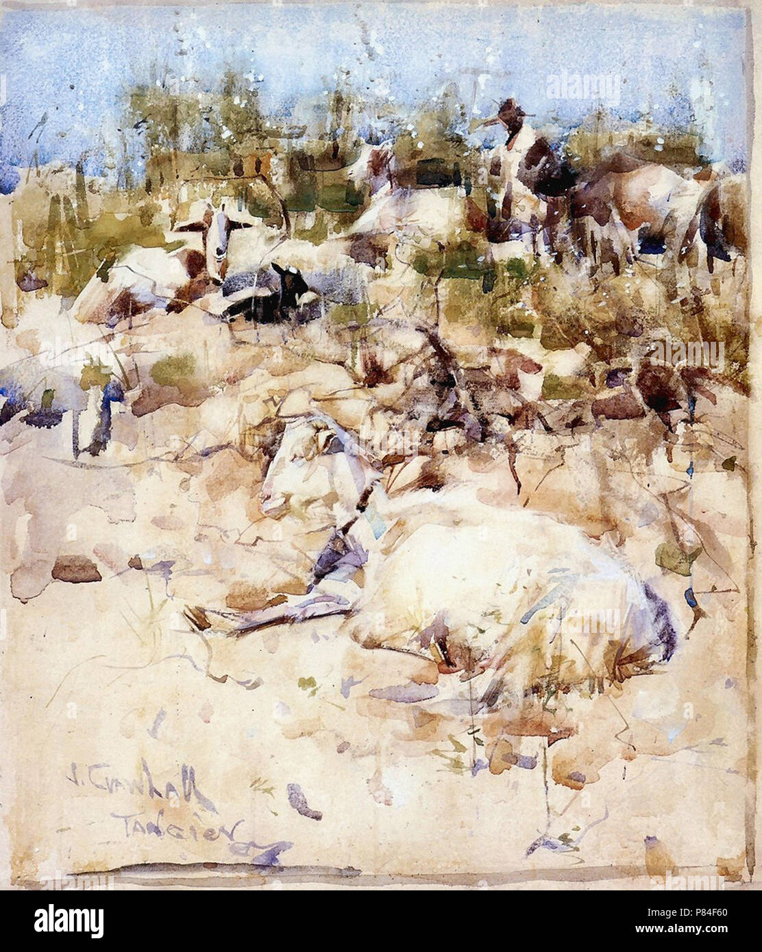 Crawhall Joseph - Goats on a Hillside - Tangier Stock Photo - Alamy