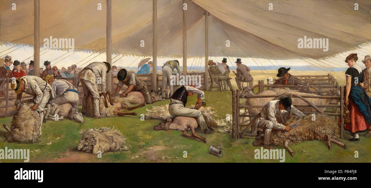 Sheep shearing 19th century hi-res stock photography and images - Alamy